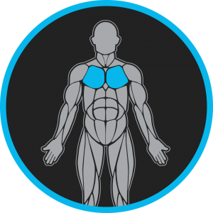 Zeus Fitness – Lift