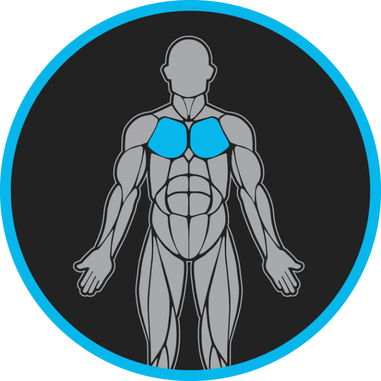 Zeus Fitness – Lift